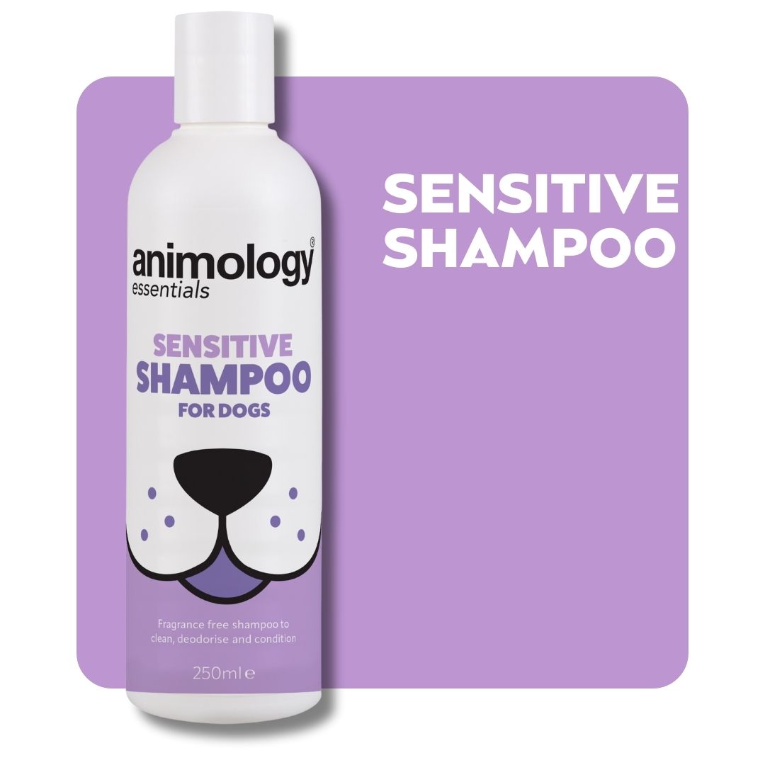 Essentials Sensitive Shampoo 250ml – Animology