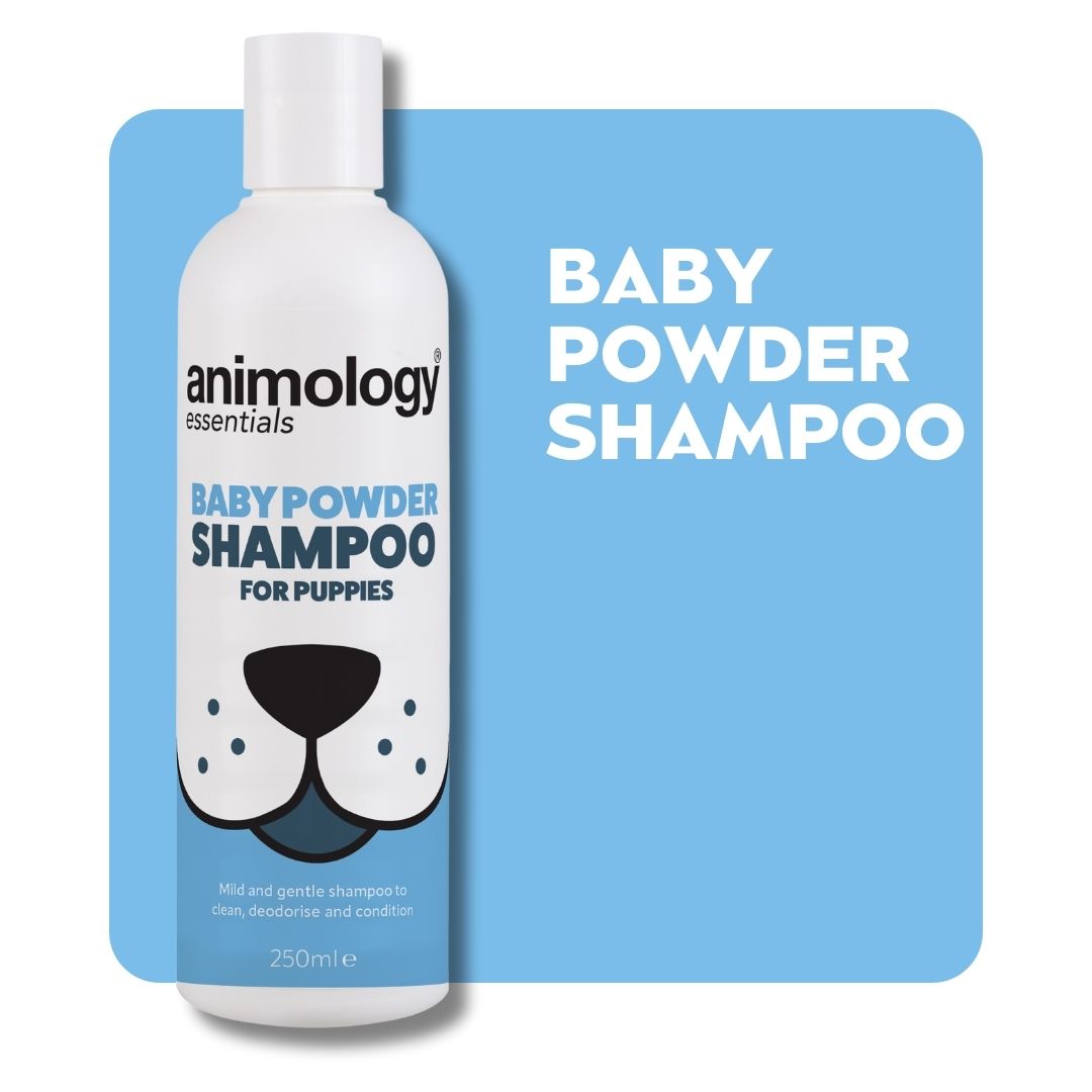 Essentials Baby Powder Shampoo 250ml – Animology