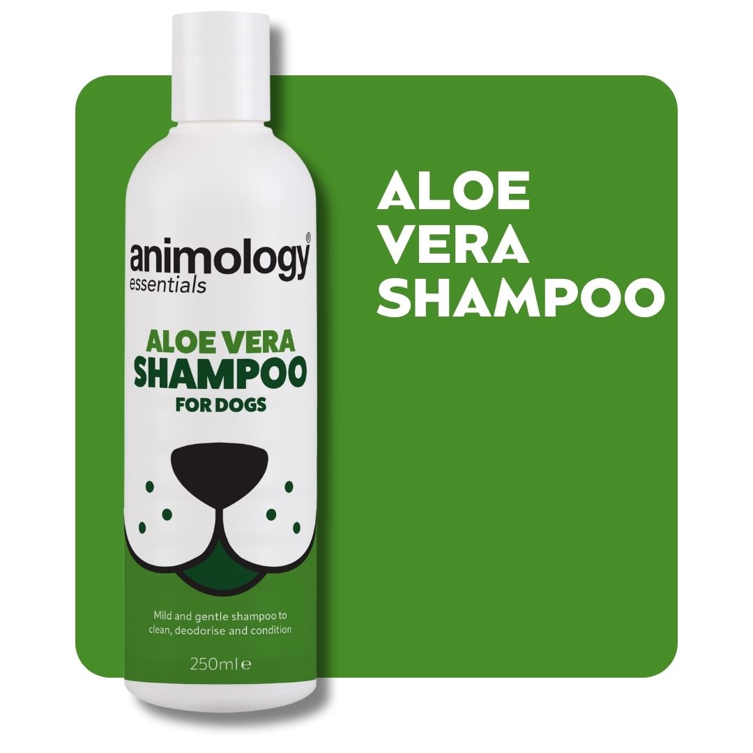 Essentials Aloe Vera Shampoo 250ml – Animology