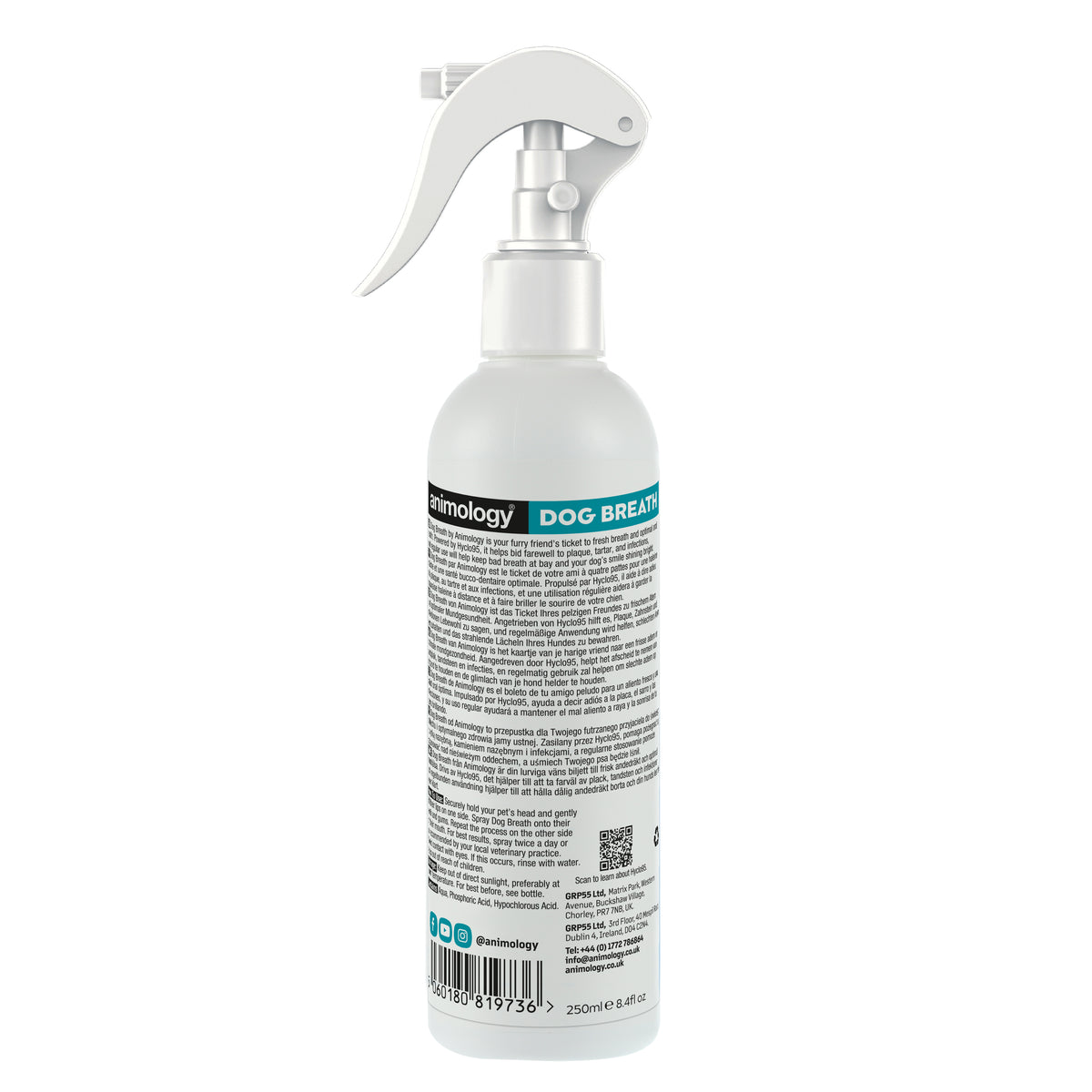Animology Dog Breath Dog Dental Spray - Your Ticket to Fresh Breath and ...