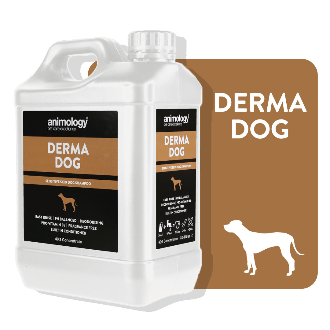 Derma Dog Sensitive Skin Dog Shampoo 2.5L – Animology