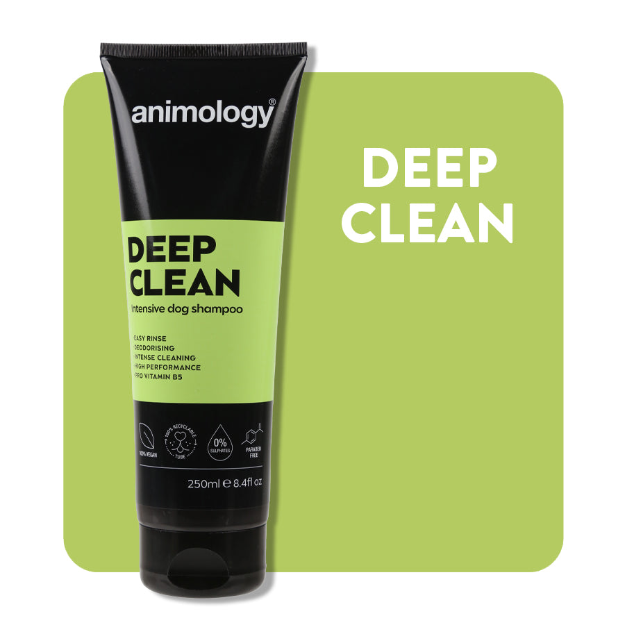 Deep Clean Intensive Dog Shampoo 250ml – Animology