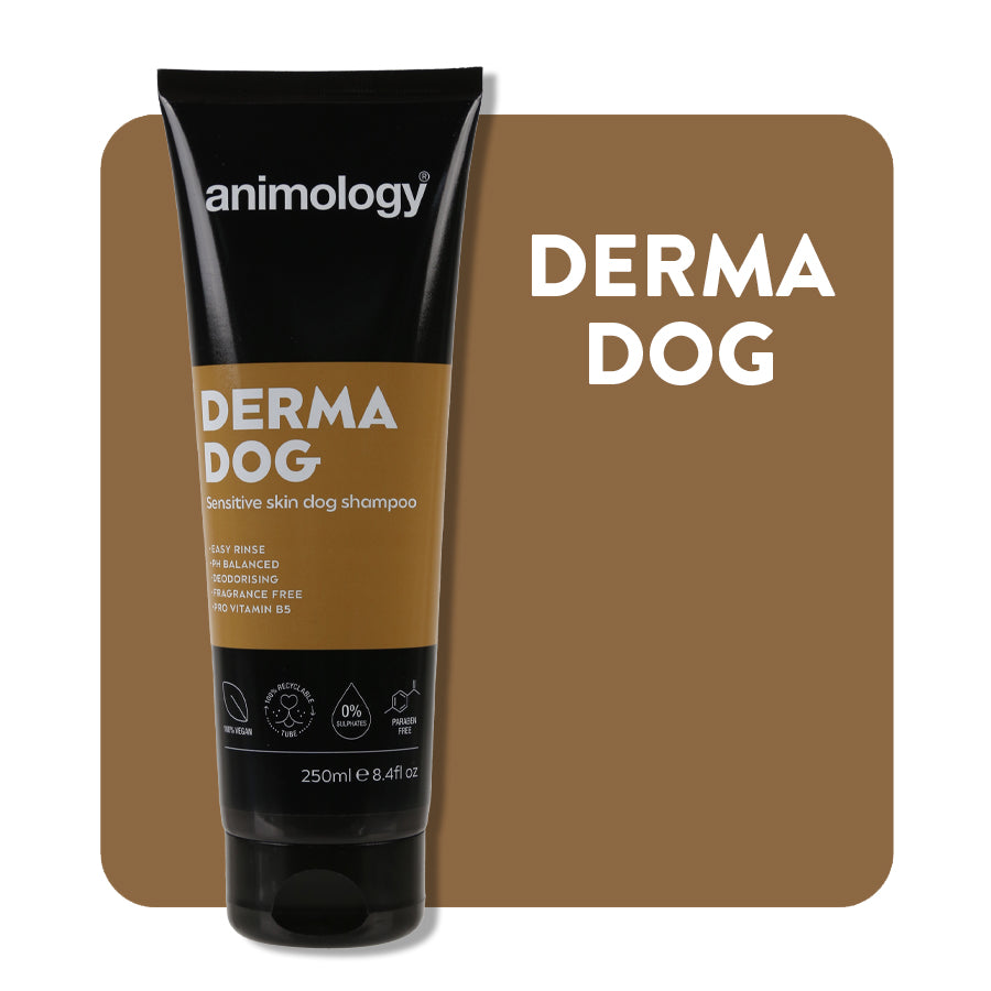 Derma Dog Sensitive Skin Dog Shampoo 250ml – Animology