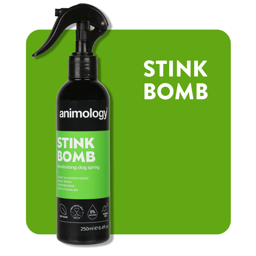 Stink Bomb Deodorising Dog Spray 250ml – Animology
